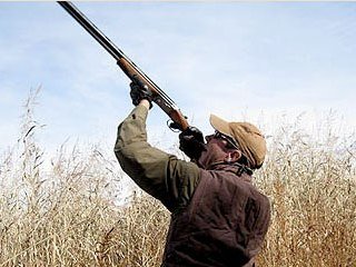 Wing Shooting Basics - LiveOutdoors
