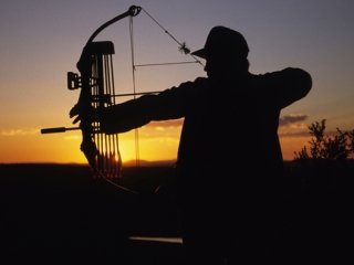 How to Shoot on Target and Dial in Your Bow - LiveOutdoors