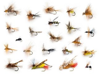 Know Your Flies - LiveOutdoors