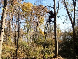 Tips for Tree Stand Hunting - LiveOutdoors