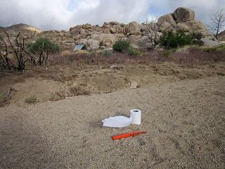 How to Dispose of Human Waste Properly - LiveOutdoors