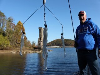 Alabama Rigs and How to Fish Them - LiveOutdoors