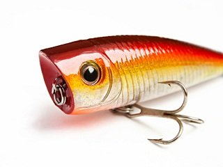 Anatomy of a Popper - LiveOutdoors