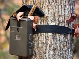 Game Camera Tips, Part Two - LiveOutdoors