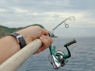 Drop Shot With Spinning Gear - LiveOutdoors