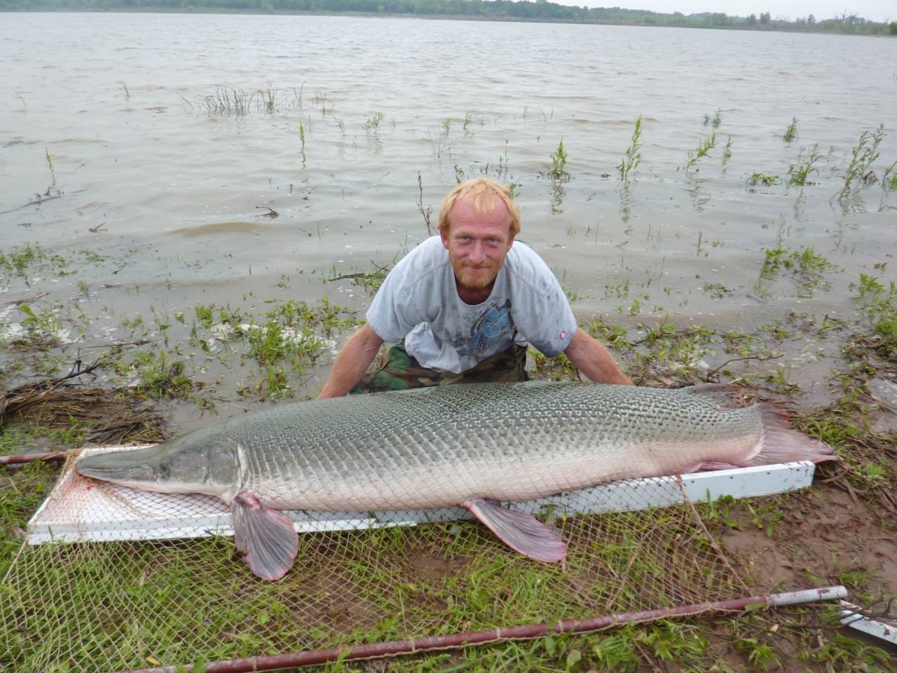 Huge Alligator Gar Caught in Oklahoma - LiveOutdoors