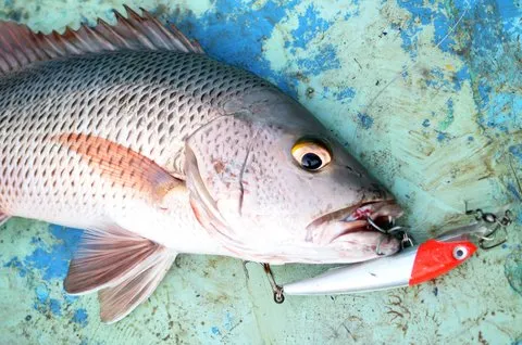 Add Weight to Improve Lure Performance - LiveOutdoors