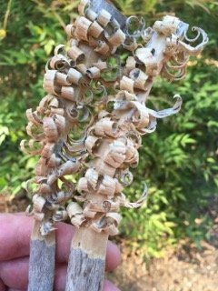 How to Make a Feather Stick to Start Fires - LiveOutdoors