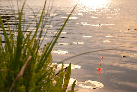 Tips for Selecting the Right Fishing Float - LiveOutdoors