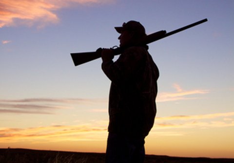 My Zen Hunting Method for Stalking Deer - LiveOutdoors