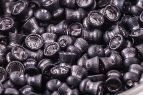 6 Reasons to Use a Pellet Gun for Hunting - LiveOutdoors