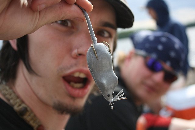 4 Tips on Using a Topwater Mouse for Big Bass - LiveOutdoors