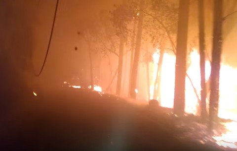 Incredible Video: Driving Through a Raging Wildfire - LiveOutdoors