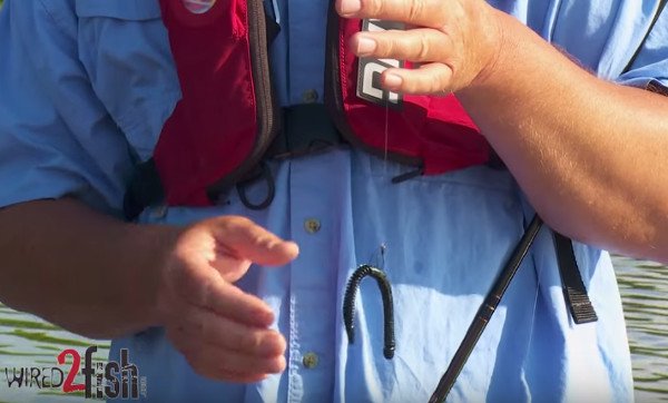 What is a Neko Rig and How it Should Be Used - LiveOutdoors