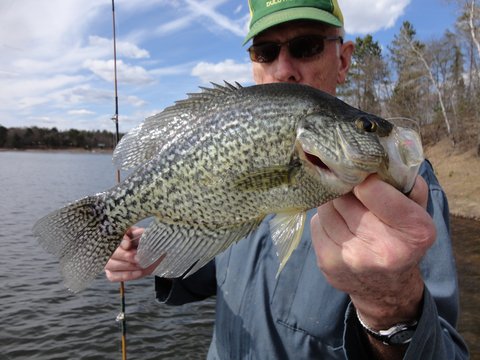 Color Selection Tips for More Winter Crappies - LiveOutdoors