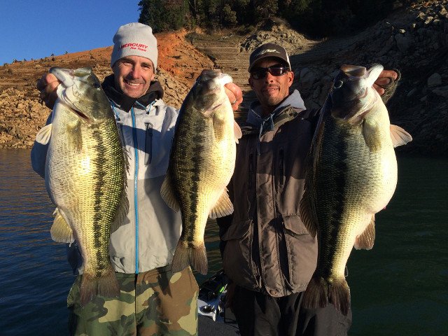 Fishermen Release Potential World Record Spotted Bass - LiveOutdoors