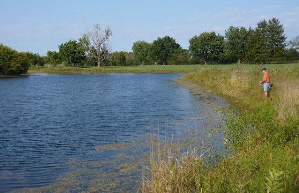 5 Things To Know About Fishing a Golf Course Pond - LiveOutdoors