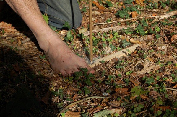 How to Make Fire with a Hand Drill - LiveOutdoors