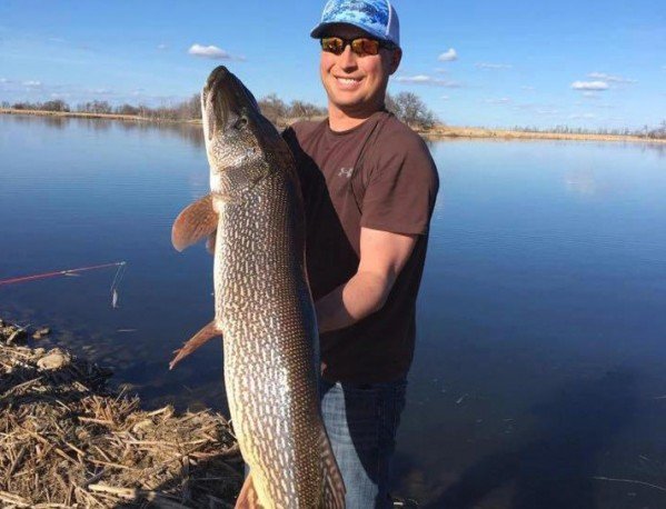 Northern Pike Record