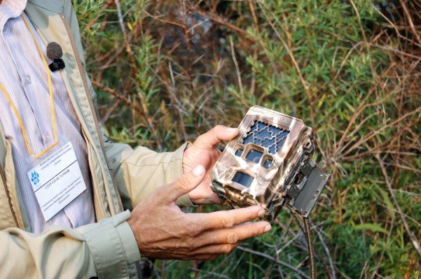 4 Tips to Setting a Trail Camera - LiveOutdoors