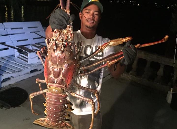 Incredible 14-Pound Lobster Caught off Bermuda - LiveOutdoors