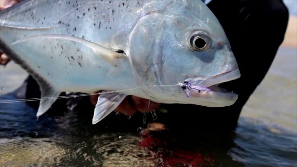 3 Must-Have Saltwater Flies - LiveOutdoors