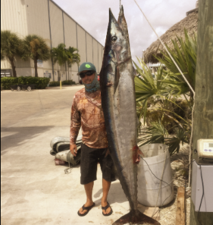 Possible World Record Wahoo Caught in Florida - LiveOutdoors