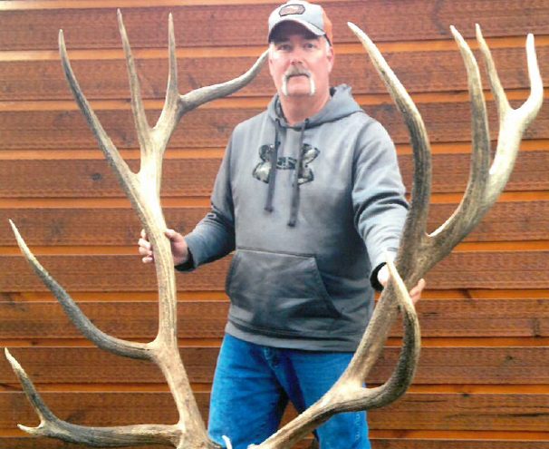 Largest Elk Bowhunted in 48 Years Confirmed - LiveOutdoors