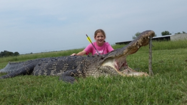 10-year-old Girl Takes Down 800-pound Alligator - LiveOutdoors