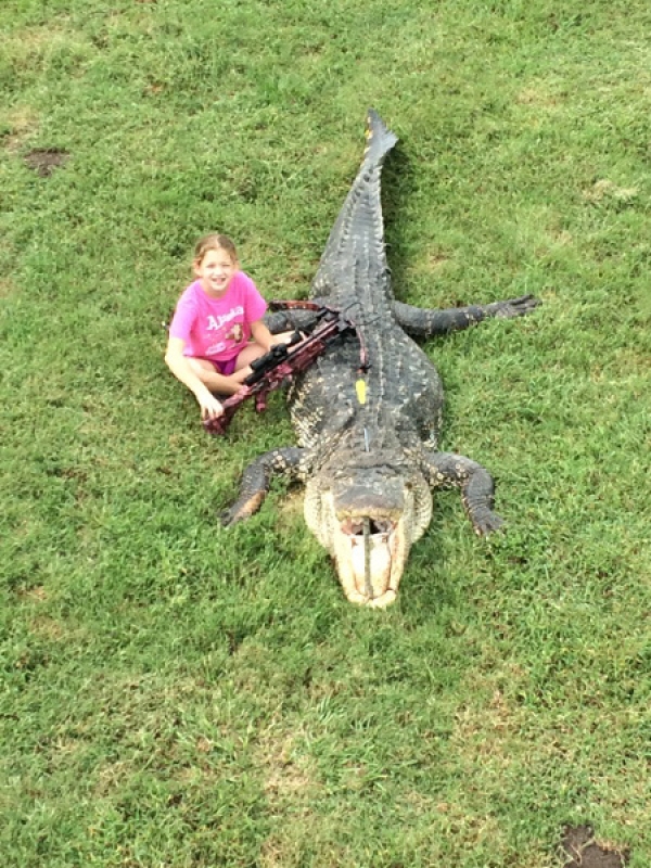 10-year-old Girl Takes Down 800-pound Alligator - LiveOutdoors